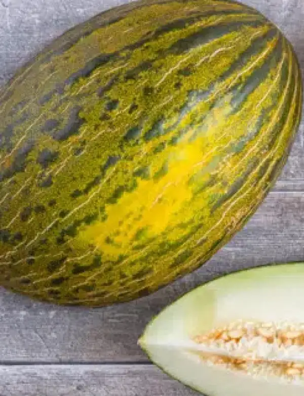 Piel de Sapo, Honigmelone - Melonen, Samen tauschen